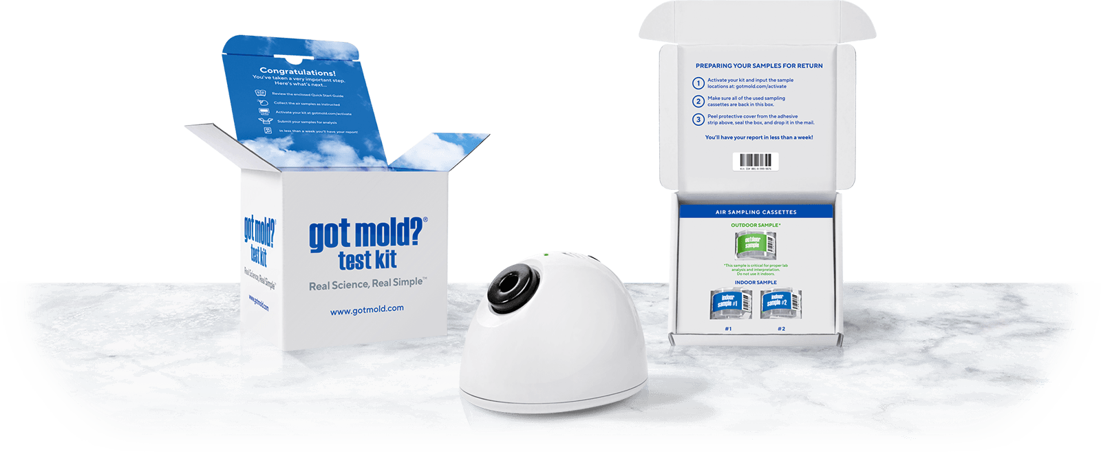 Buy Mold Test Kits Online | 1, 2, and 3 Room Kits | GOT MOLD?