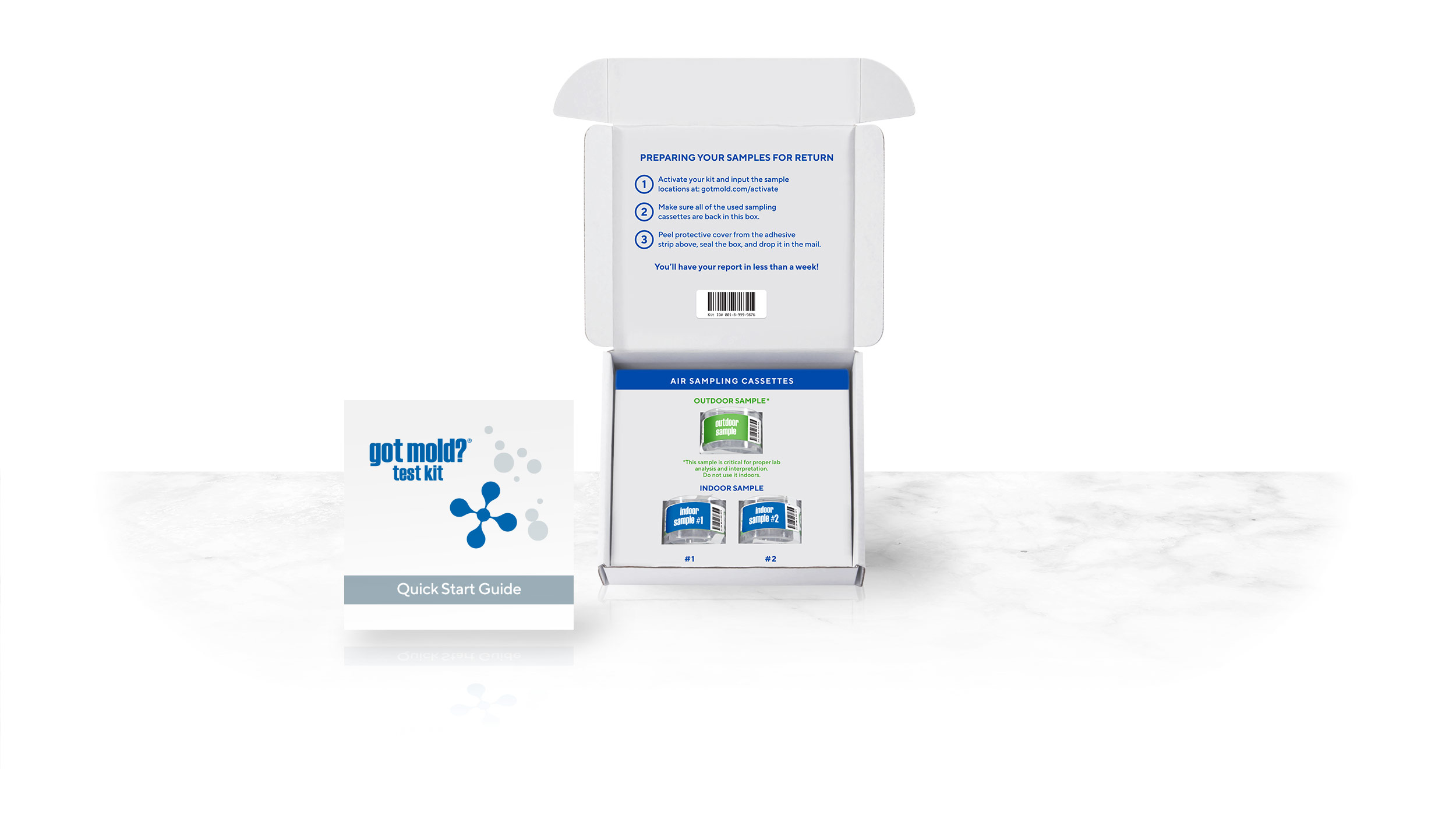 2-Room GOT MOLD? Refills | GOT MOLD?